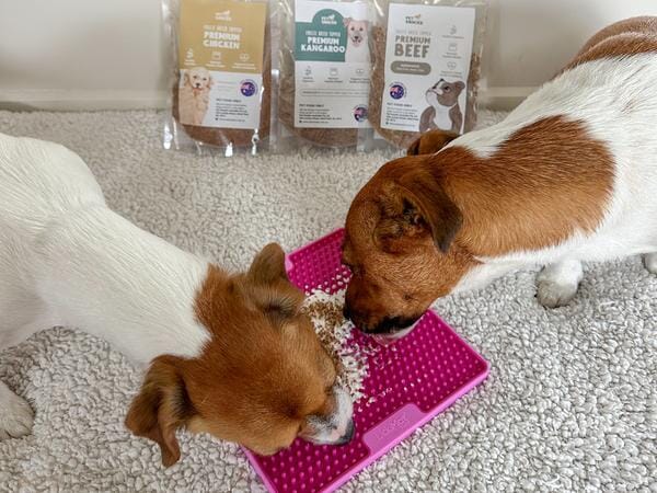 3 Ways to Add Toppers to Your Dog’s Kibble – Pet Snacks