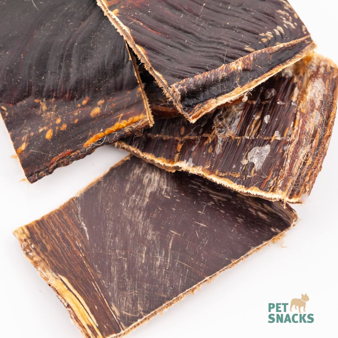 Premium Steak Dog Treat - Small - Pet Snacks