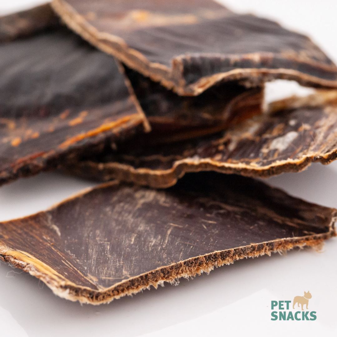 Premium Steak Dog Treat - Small - Pet Snacks